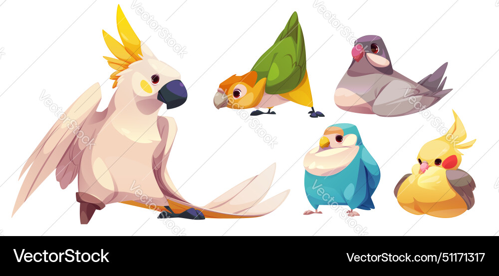 Cute funny parrot characters cartoon set Vector Image