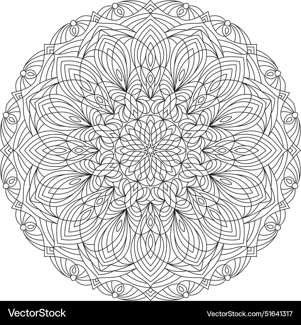 Mandala symmetry design Royalty Free Vector Image