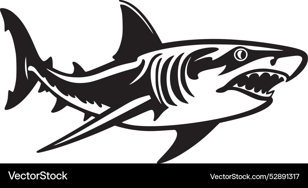 Shark - black and white isolated icon Royalty Free Vector
