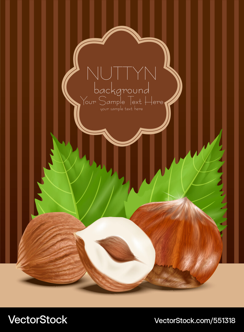 Hazelnut kernels Royalty Free Vector Image - VectorStock