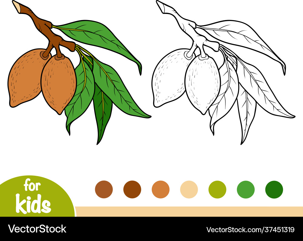 Coloring book almond branch Royalty Free Vector Image