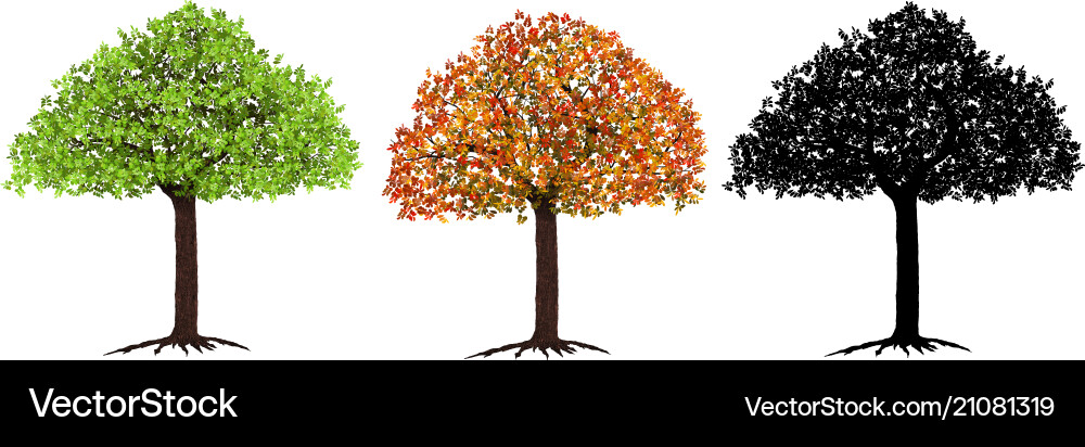 Red green and silhouettes tree Royalty Free Vector Image