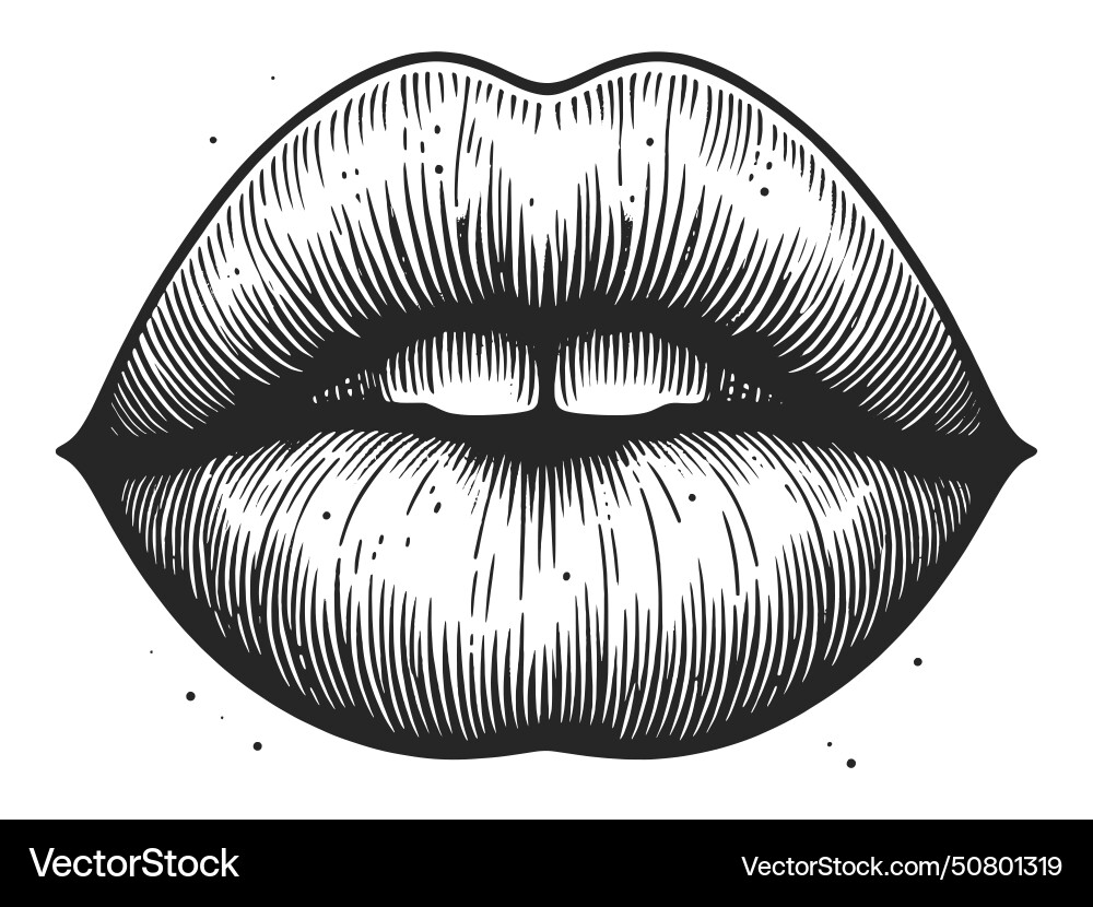 Sensual Lips Engraving Sketch Royalty Free Vector Image 