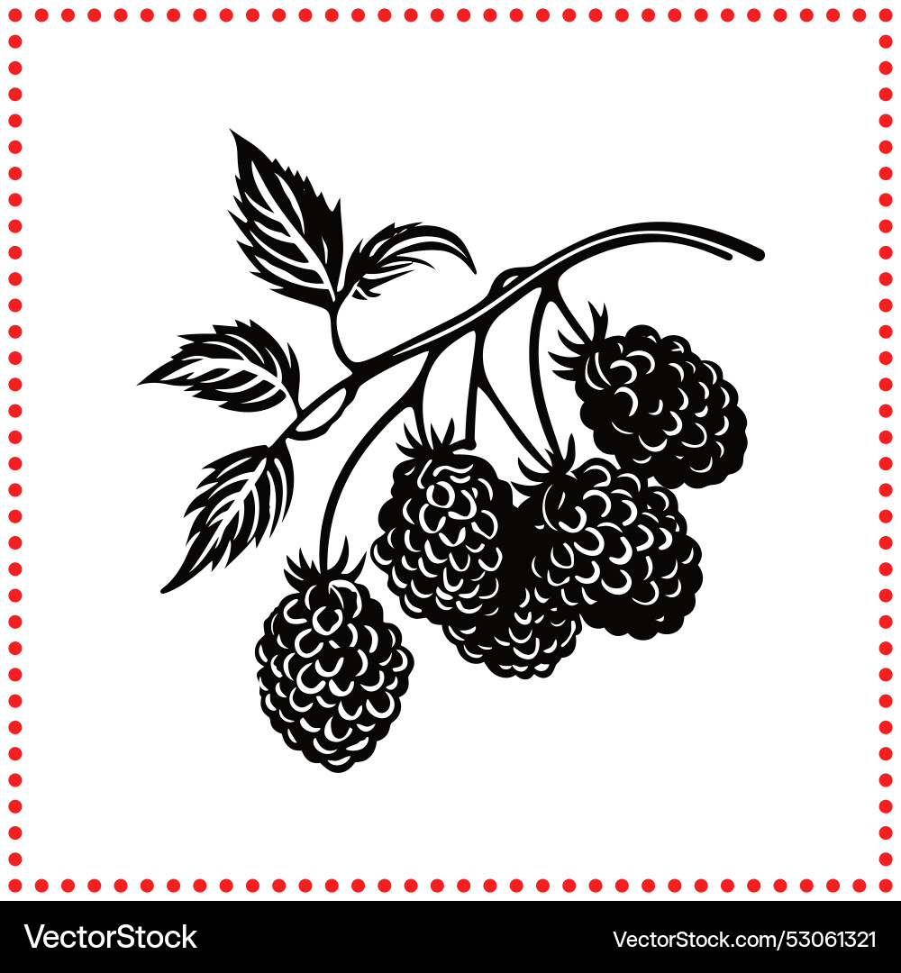 Berry beautiful a raspberry silhouette that adds Vector Image