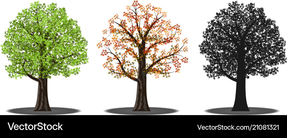 Red green and silhouettes tree Royalty Free Vector Image