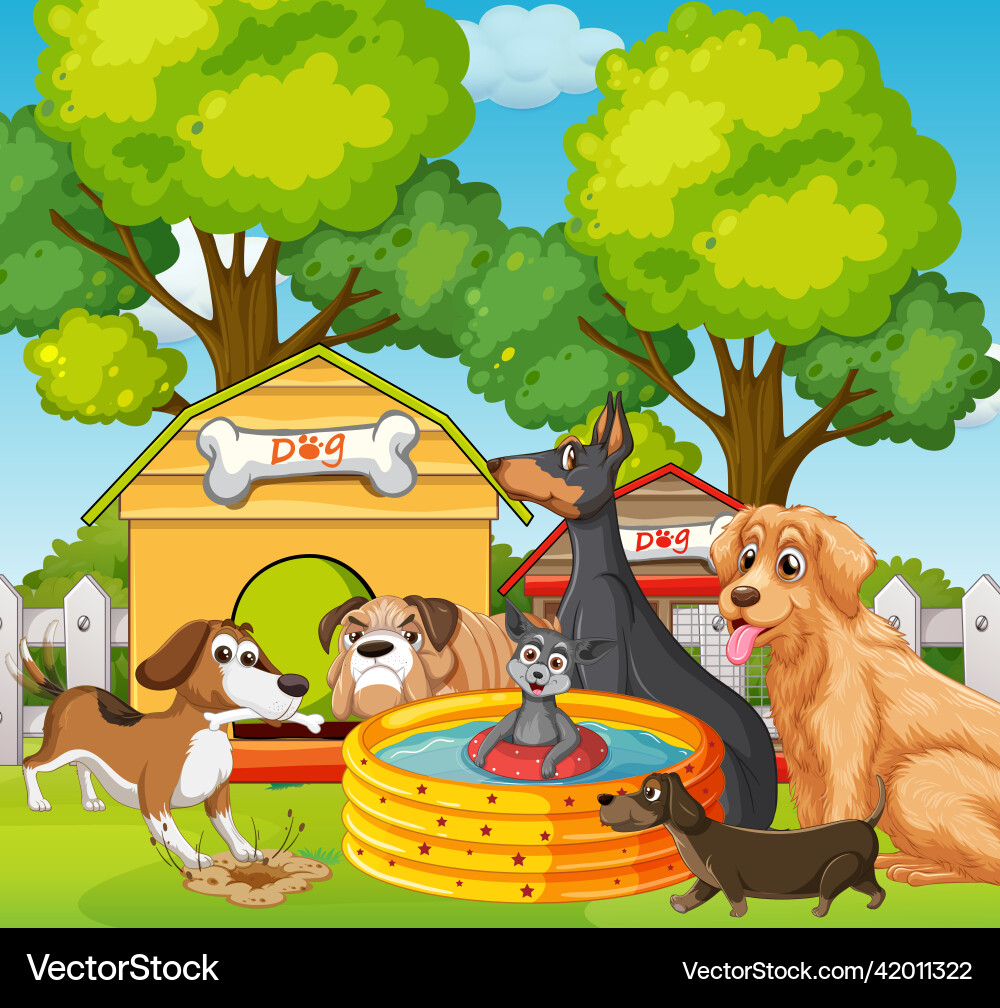 A group of different dog do various activities Vector Image