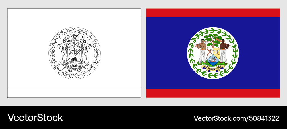 Coloring flag set of belize Royalty Free Vector Image