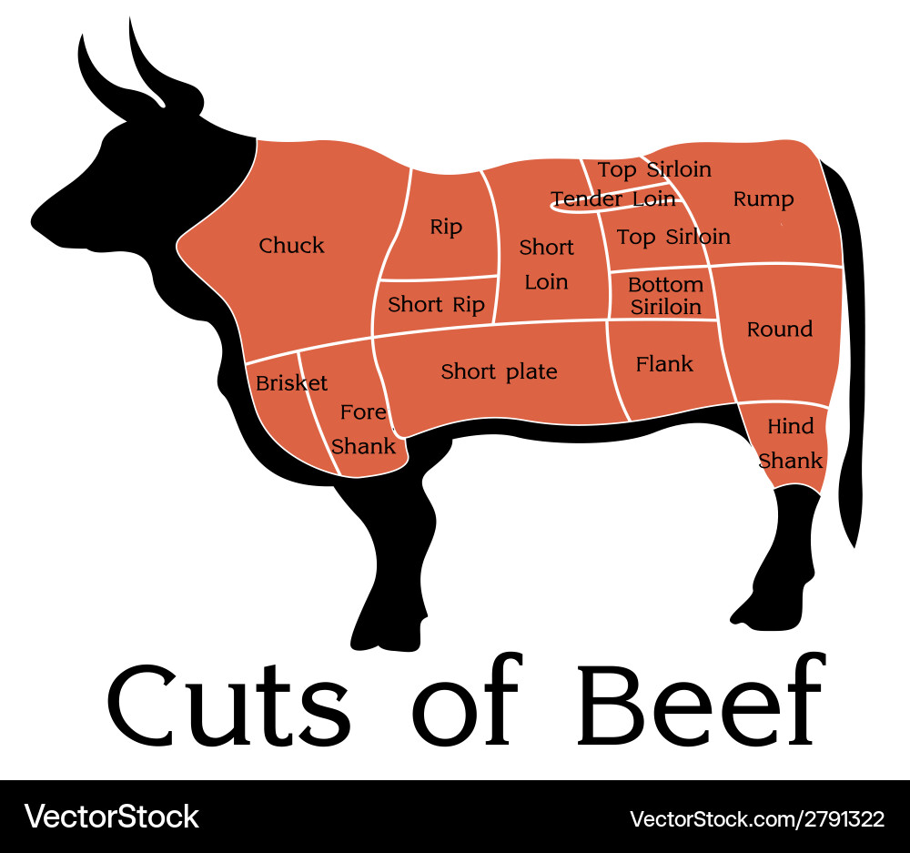 Cuts of beef Royalty Free Vector Image - VectorStock