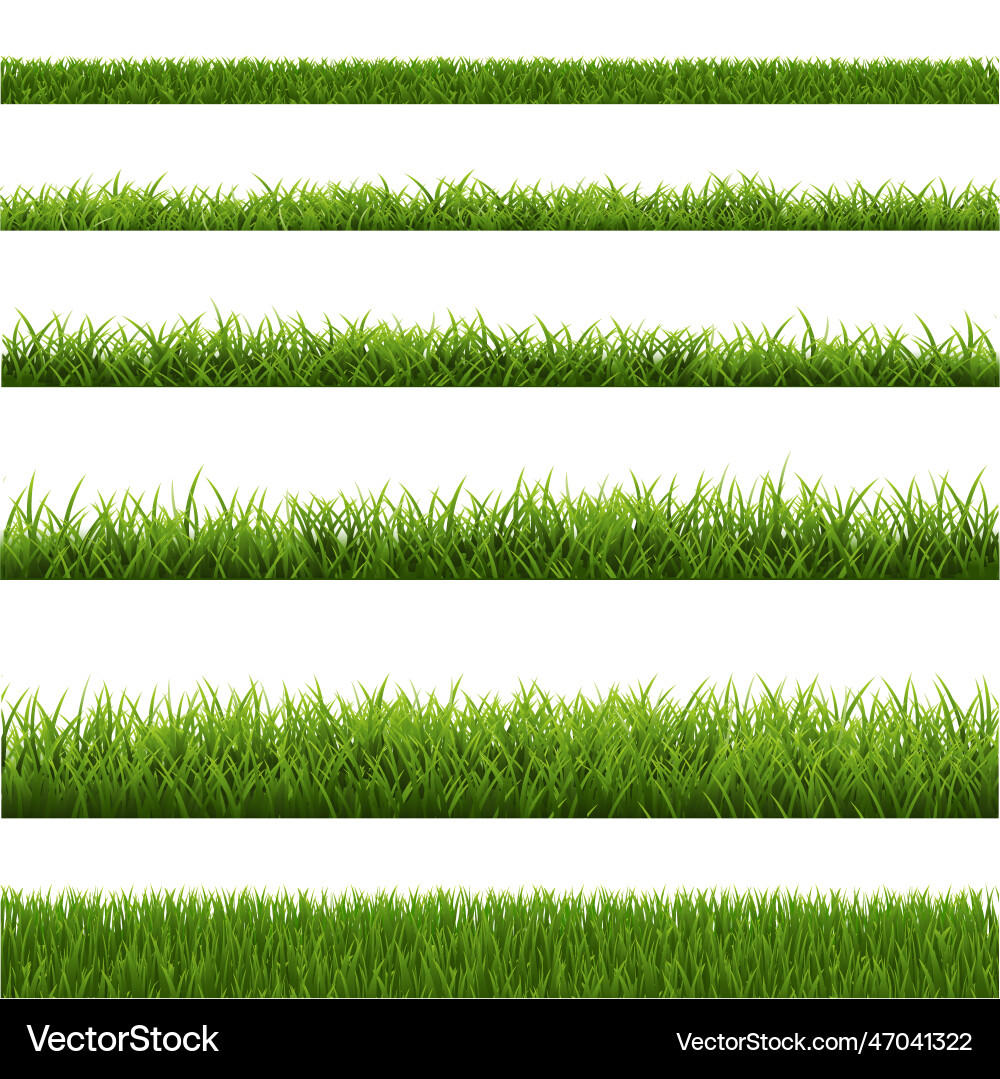 Grass border collection and white background Vector Image