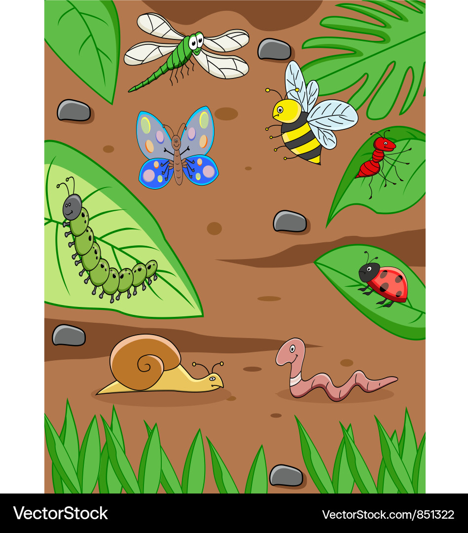 Small animal Royalty Free Vector Image - VectorStock