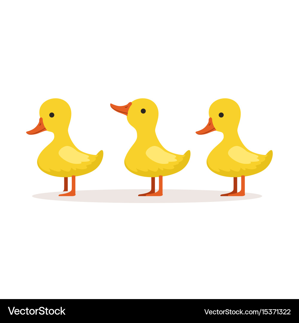 Three Adorable Ducklings Royalty Free Vector Image
