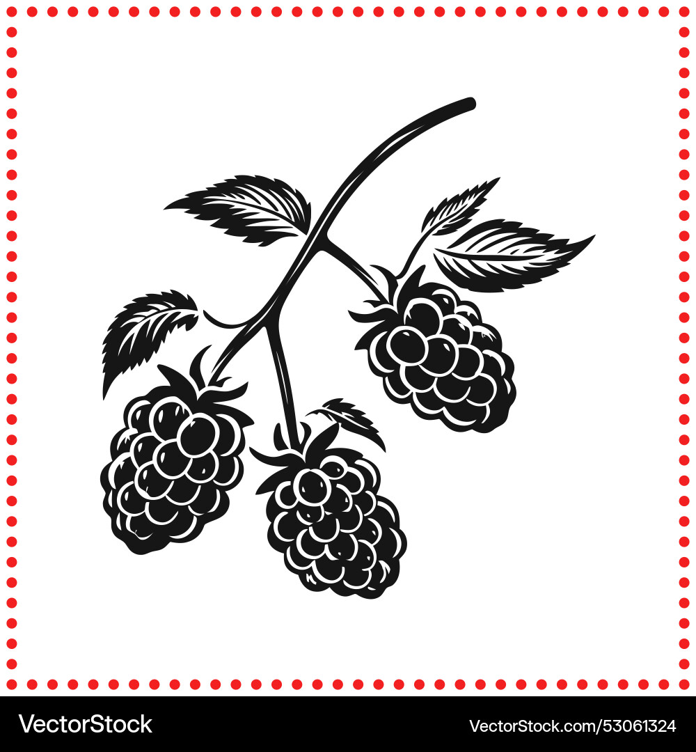 Berry delicious raspberry silhouette for art Vector Image
