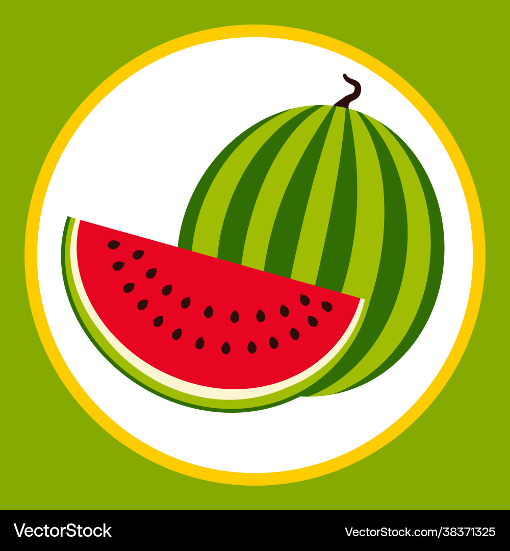Drawn stylized watermelon fruit Royalty Free Vector Image