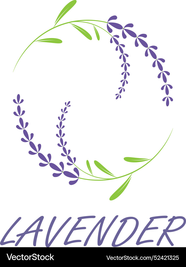 Fresh lavender flower logo Royalty Free Vector Image