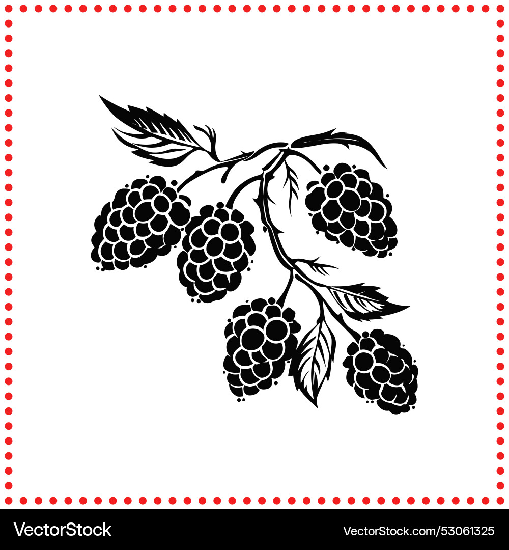Naturegs harvest raspberry silhouette for rustic Vector Image