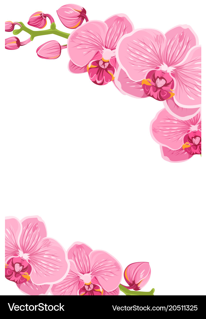 Pink orchid flowers border frame template card Vector Image