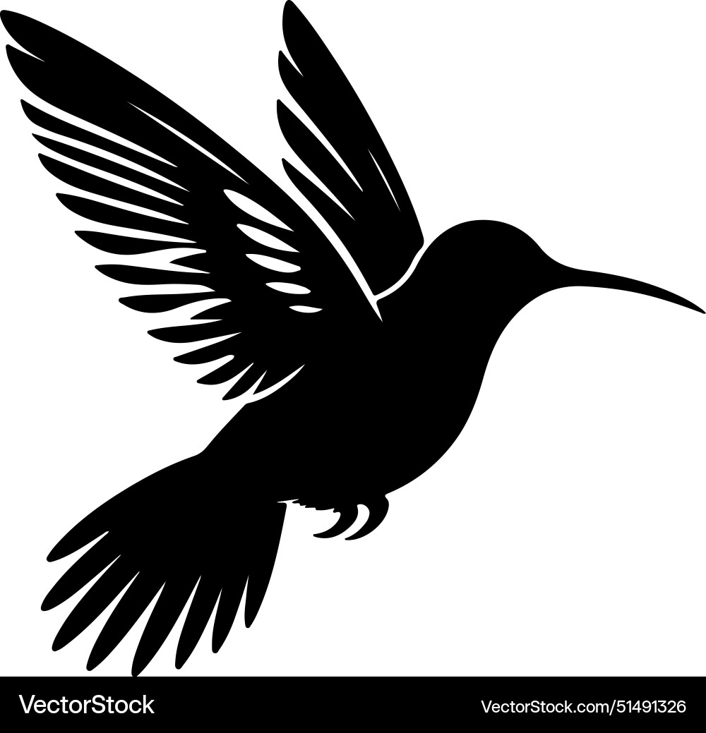 Flying hummingbirds silhouette isolated on white Vector Image