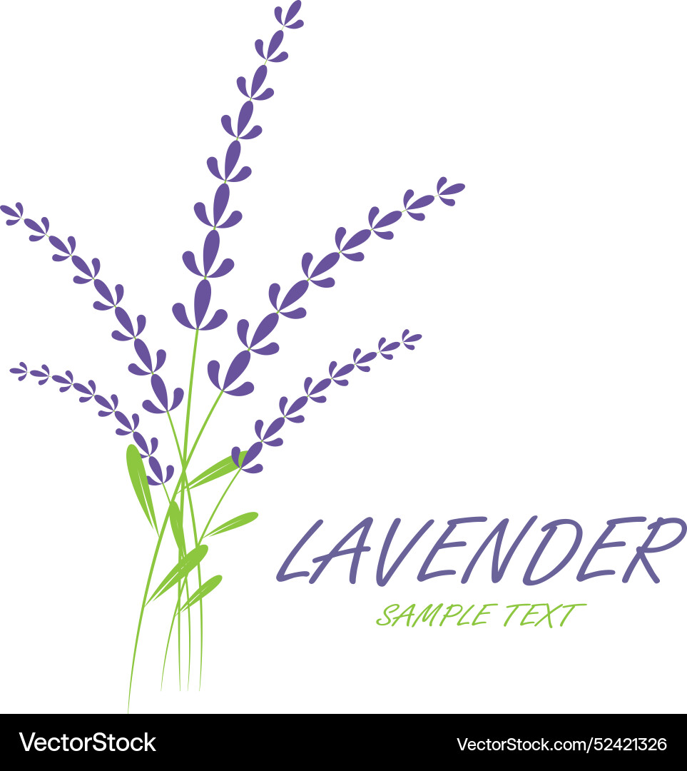 Fresh lavender flower logo Royalty Free Vector Image