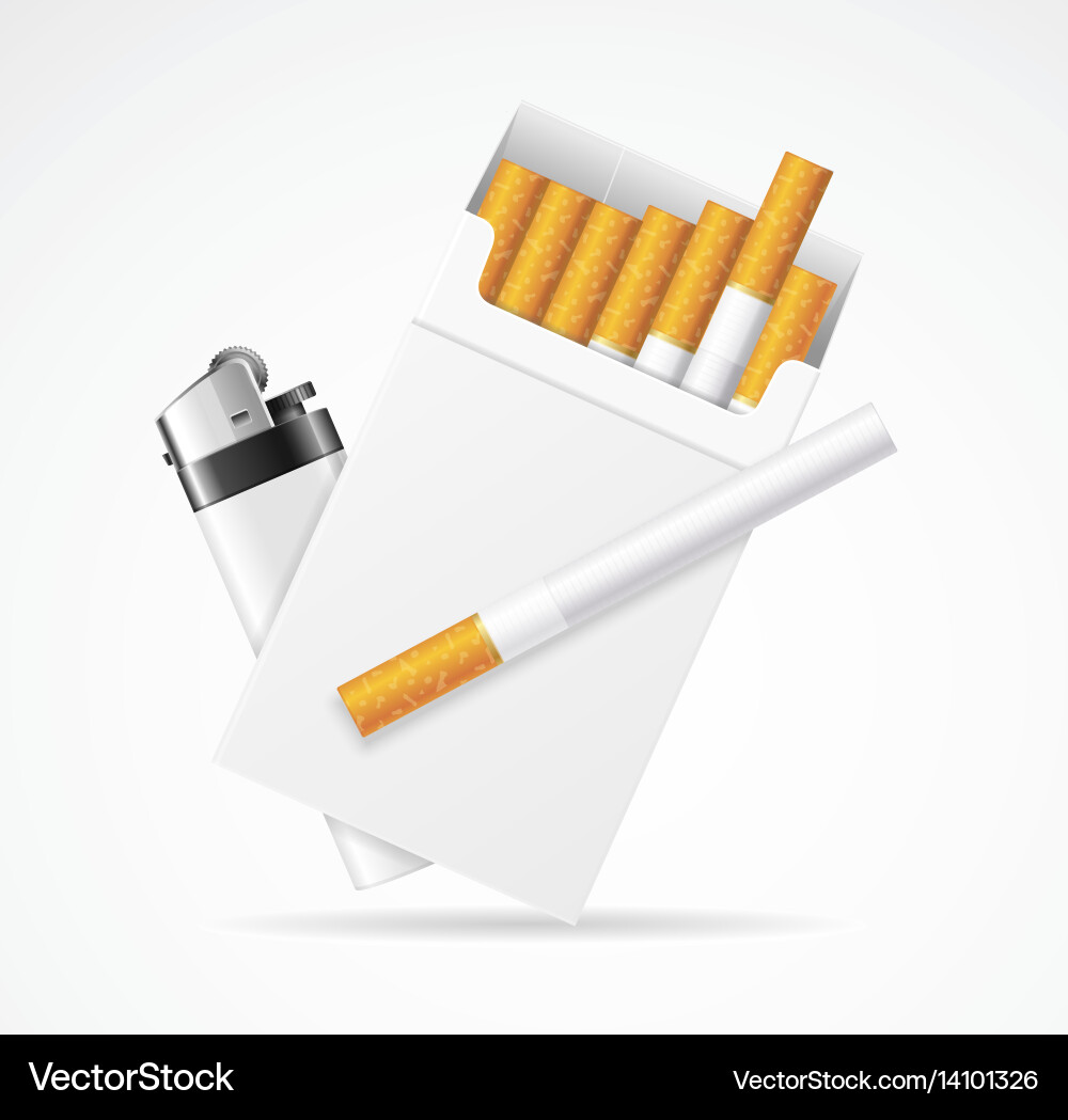Realistic template blank white cigarette pack Vector Image