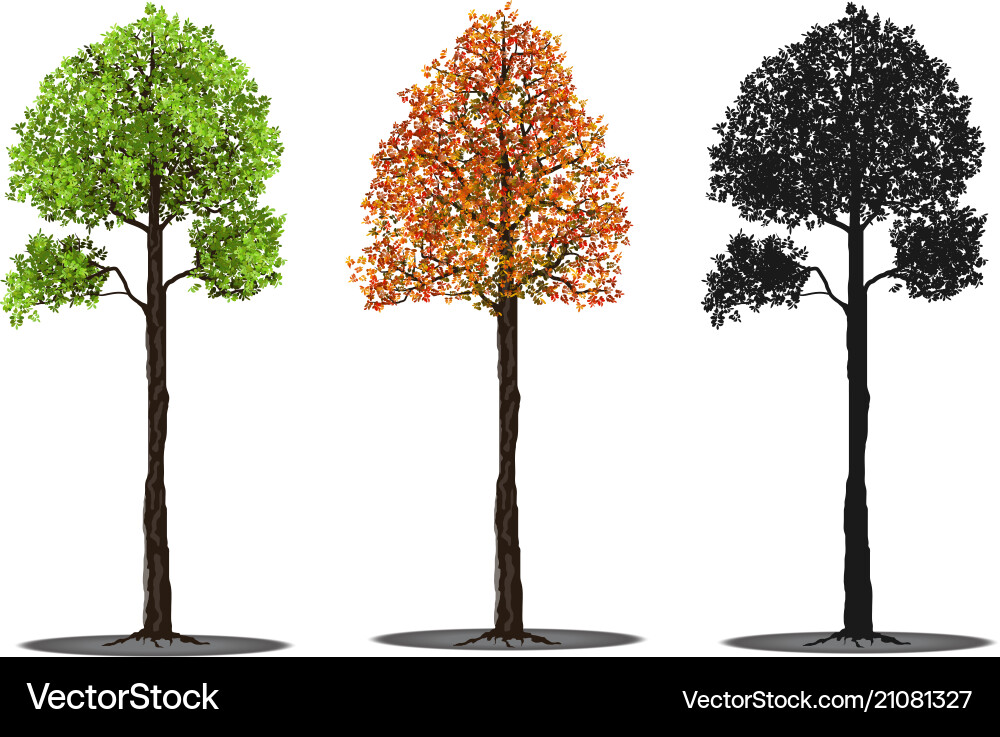 Red green and silhouettes tree Royalty Free Vector Image