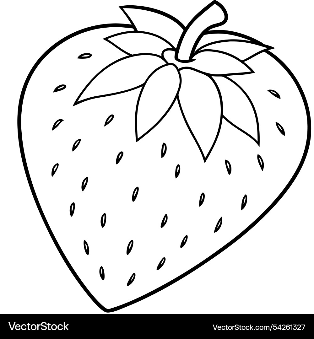Strawberry line art Royalty Free Vector Image - VectorStock