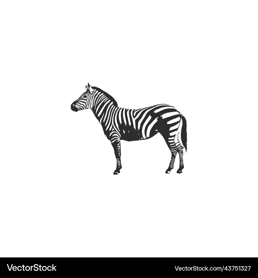 Zebra logo design inspiration head Royalty Free Vector Image