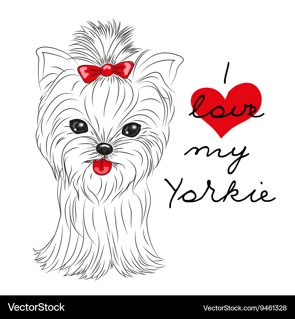 Cute yorkshire terrier Royalty Free Vector Image