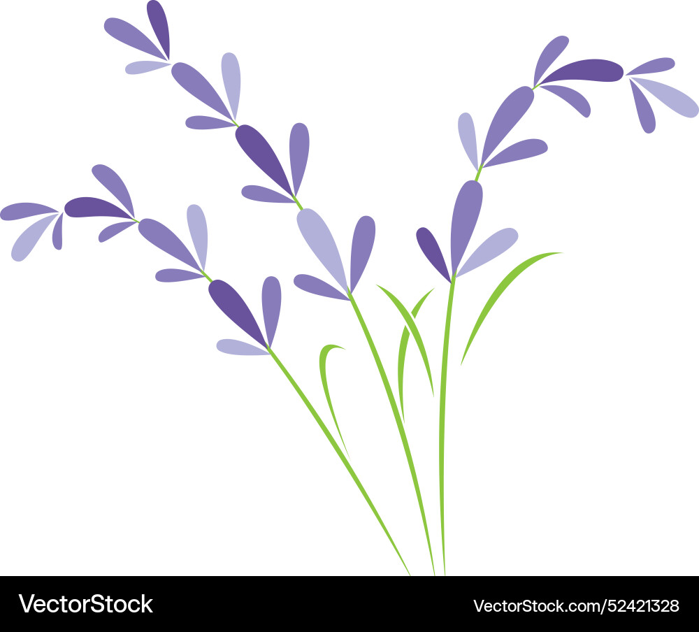 Fresh lavender flower logo Royalty Free Vector Image