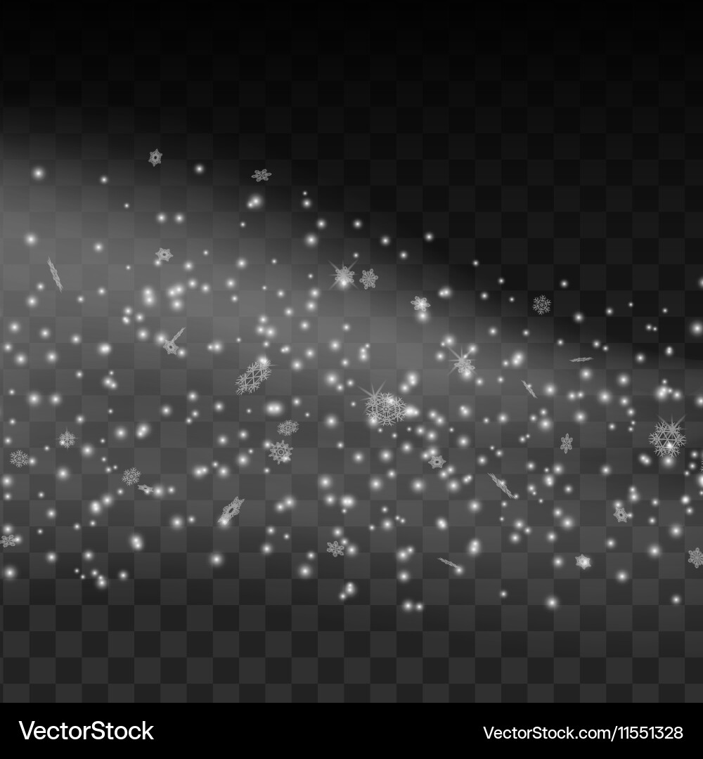 Swirling snow on transparent background wave Vector Image