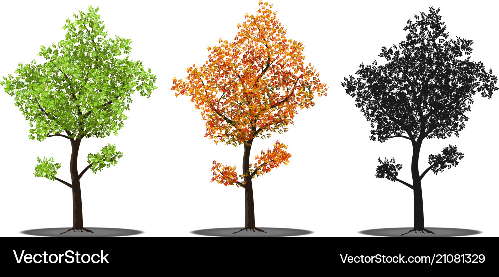 Red green and silhouettes tree Royalty Free Vector Image