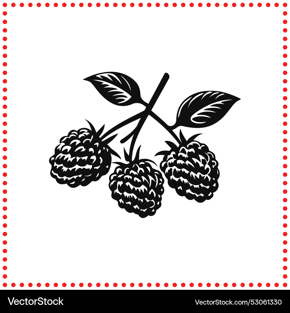 Berry charm raspberry silhouette for graphic Vector Image