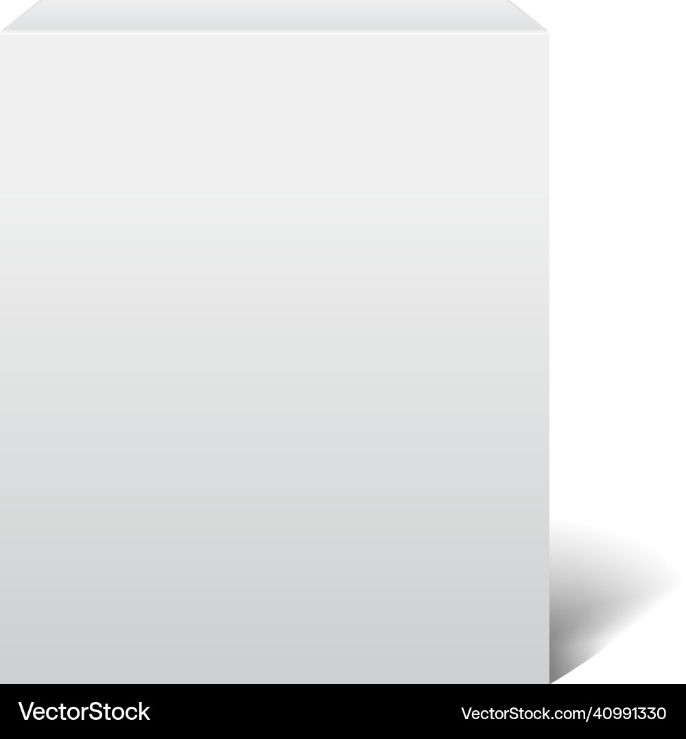 Blank box mockup white rectangular paper package Vector Image