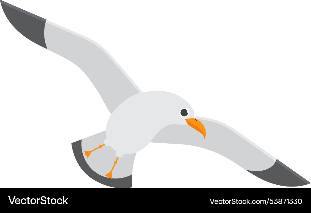 Cartoon of a seagull flying Royalty Free Vector Image