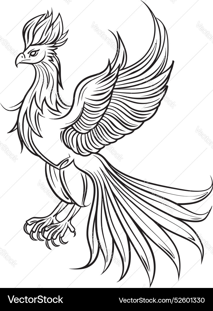 Cosmic wings hand drawn phoenix symbol in black Vector Image