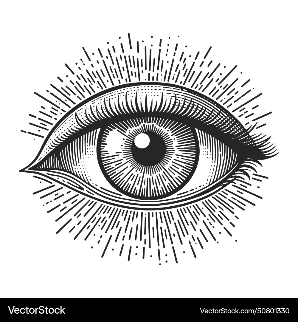 Detailed human eye engraving Royalty Free Vector Image