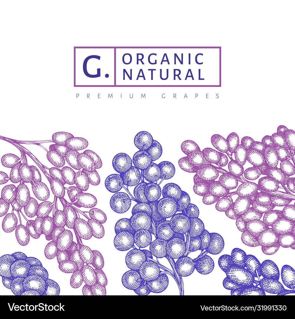 Grape design template hand drawn berry Royalty Free Vector