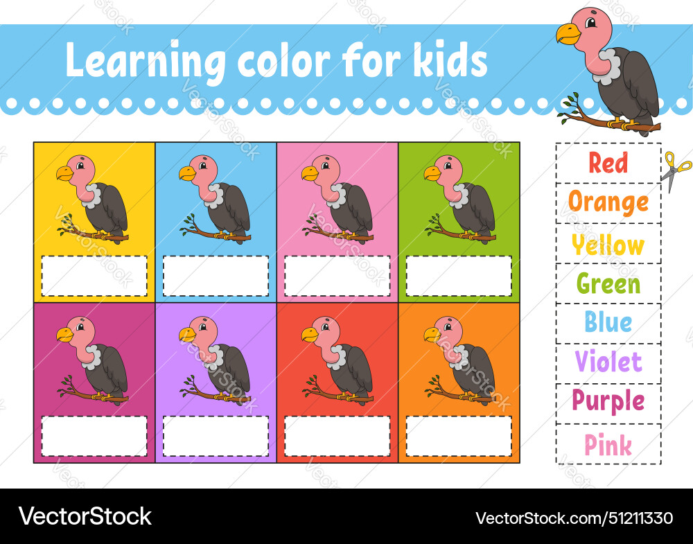 Learning color for kids education developing Vector Image
