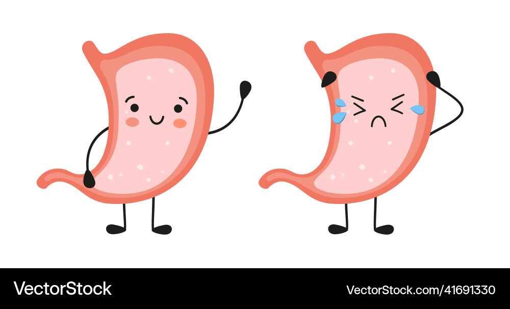Smiling healthy stomach and sad sick Royalty Free Vector