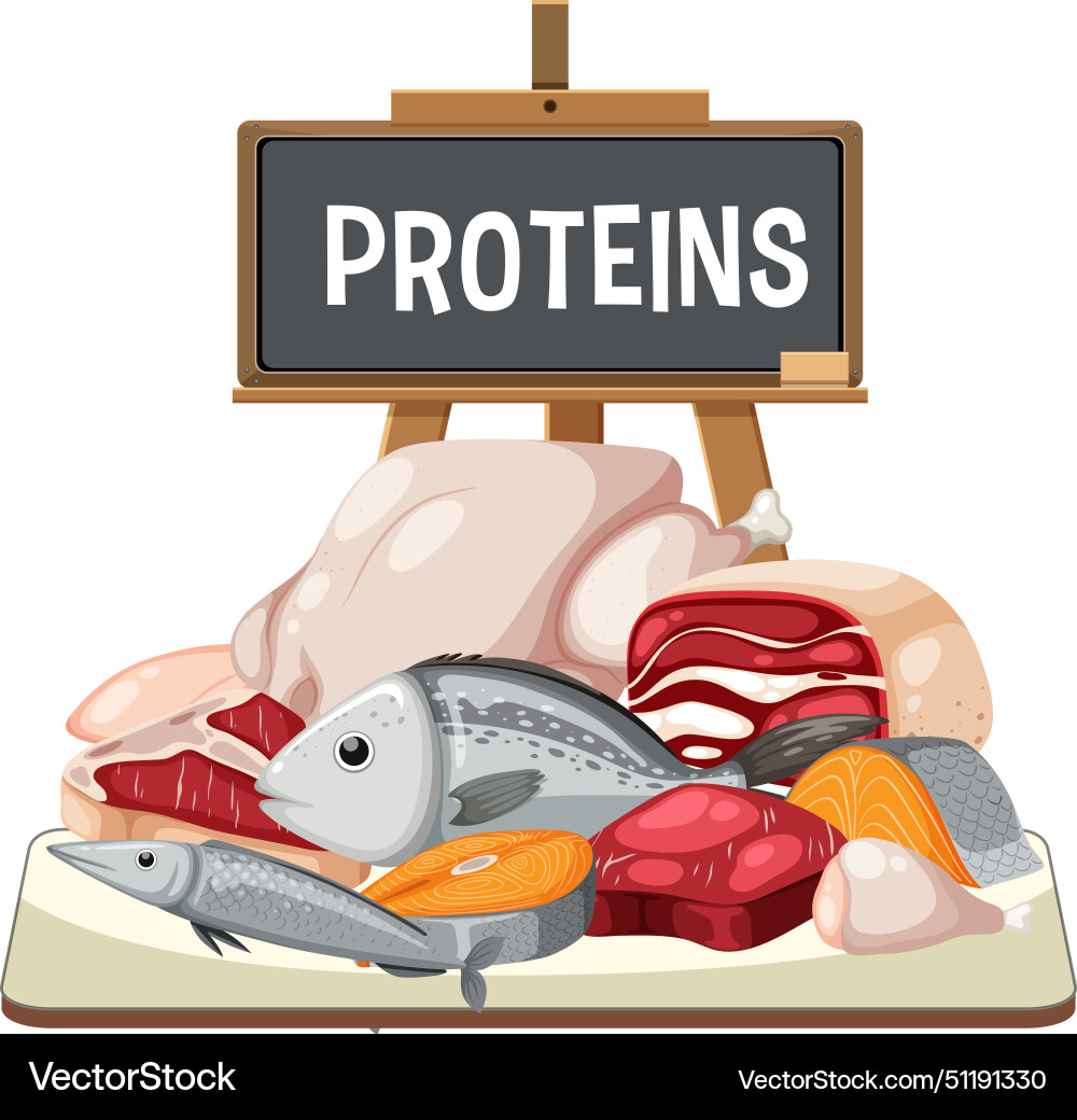 Various protein-rich foods on a plate Royalty Free Vector