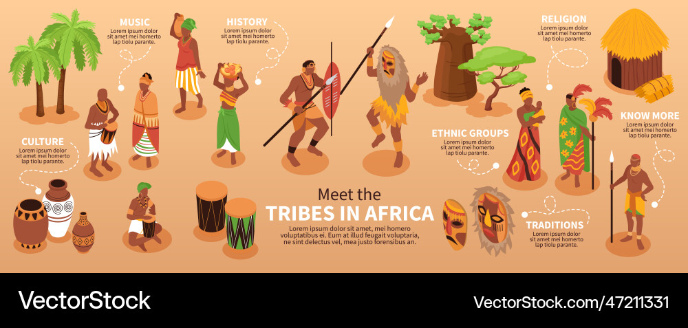 Tribes in africa infographics Royalty Free Vector Image