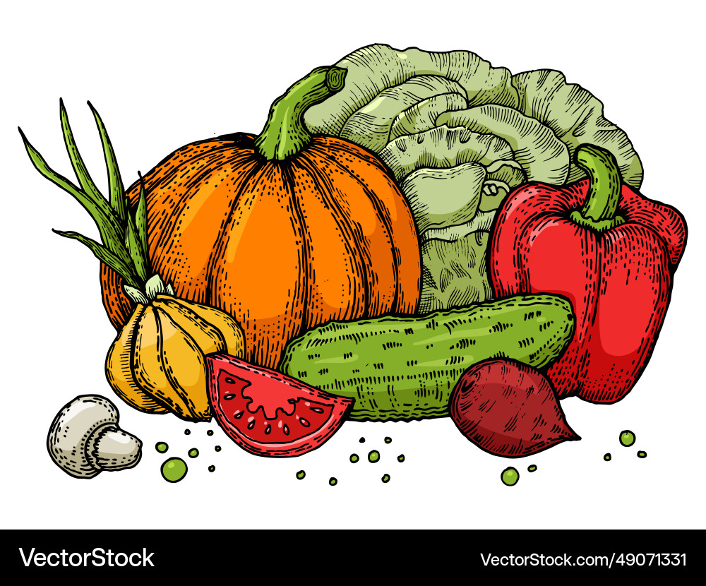 Vegetables line art sketch hand drawn Royalty Free Vector