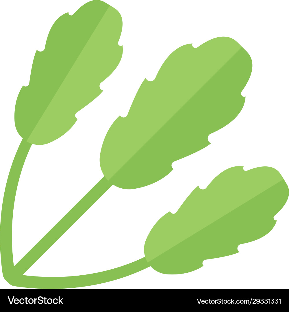 Watercress Royalty Free Vector Image - VectorStock