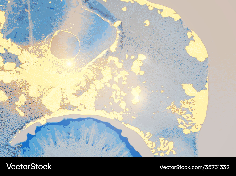 Navy blue and gold pattern with texture stone Vector Image