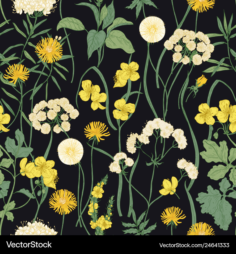 Romantic Wildflower Pattern Royalty Free Vector Image