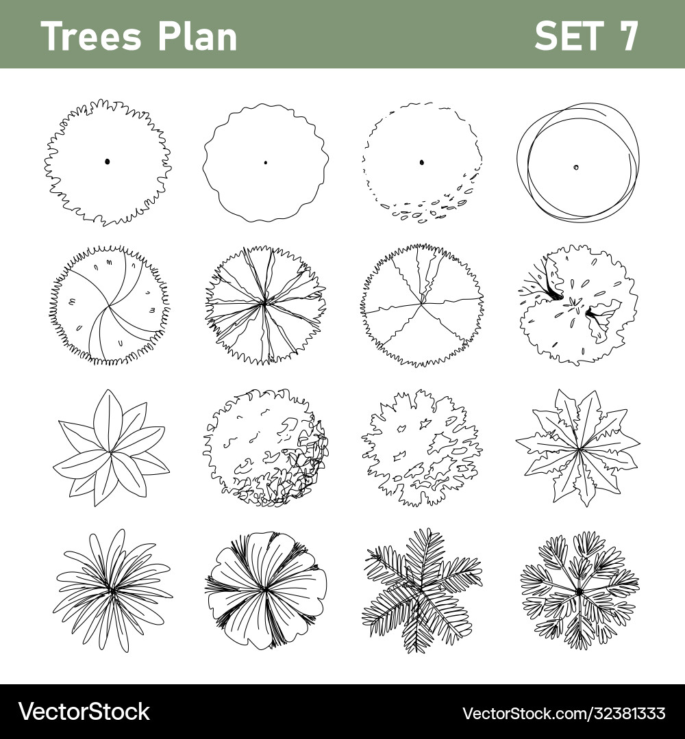 Vector Top View Trees Plans Tree Plan PNG Images CleanPNG