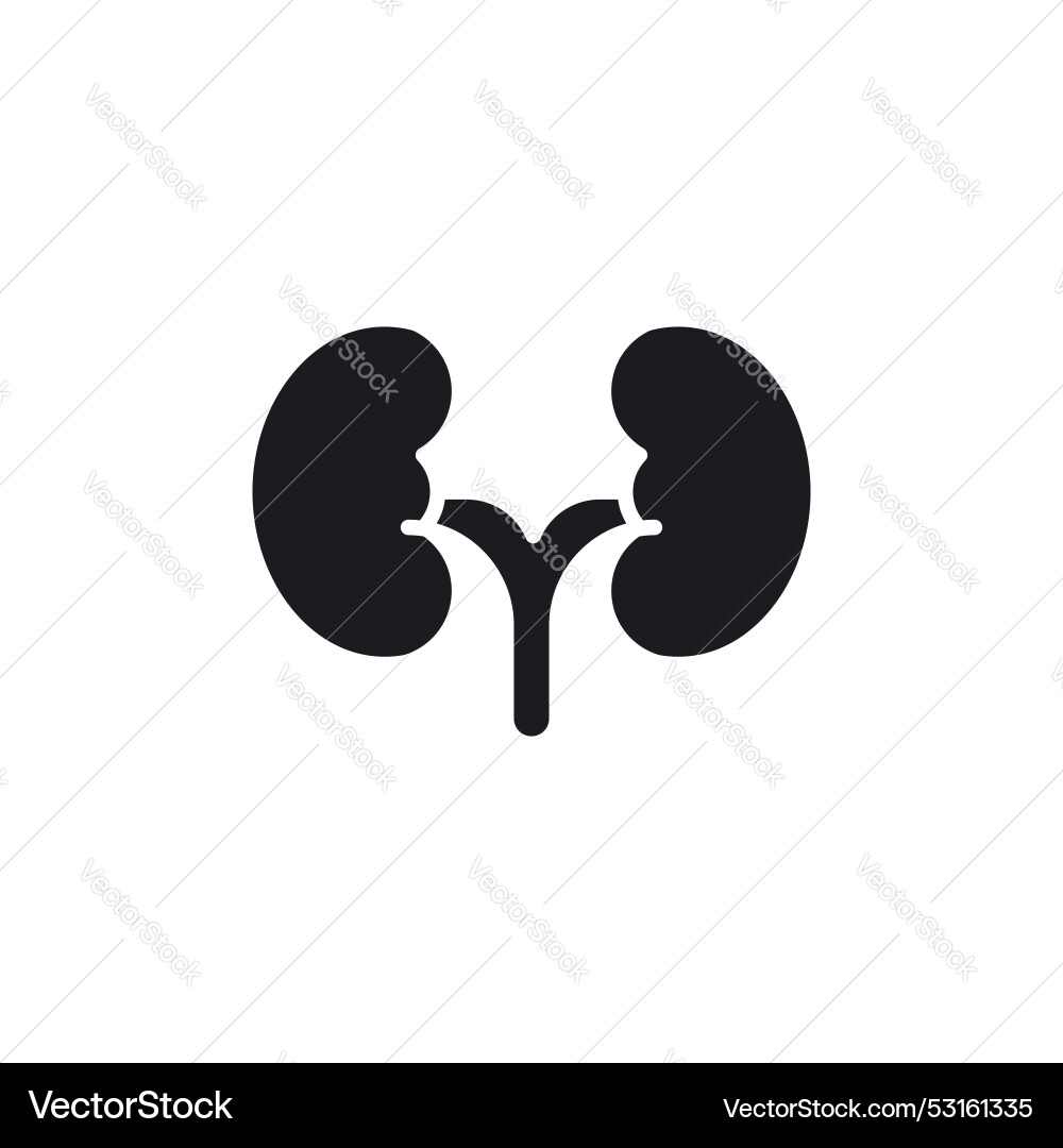 Kidney icon symbol on white background Royalty Free Vector