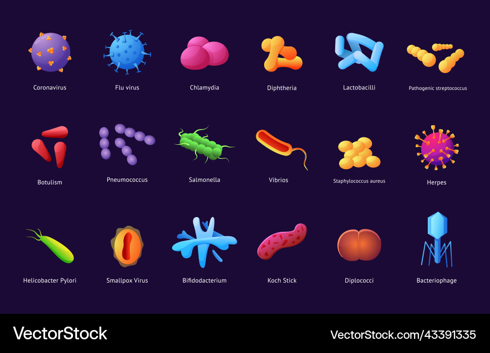Types Of Bacteria Black Silicon Slices And Dices Bacteria