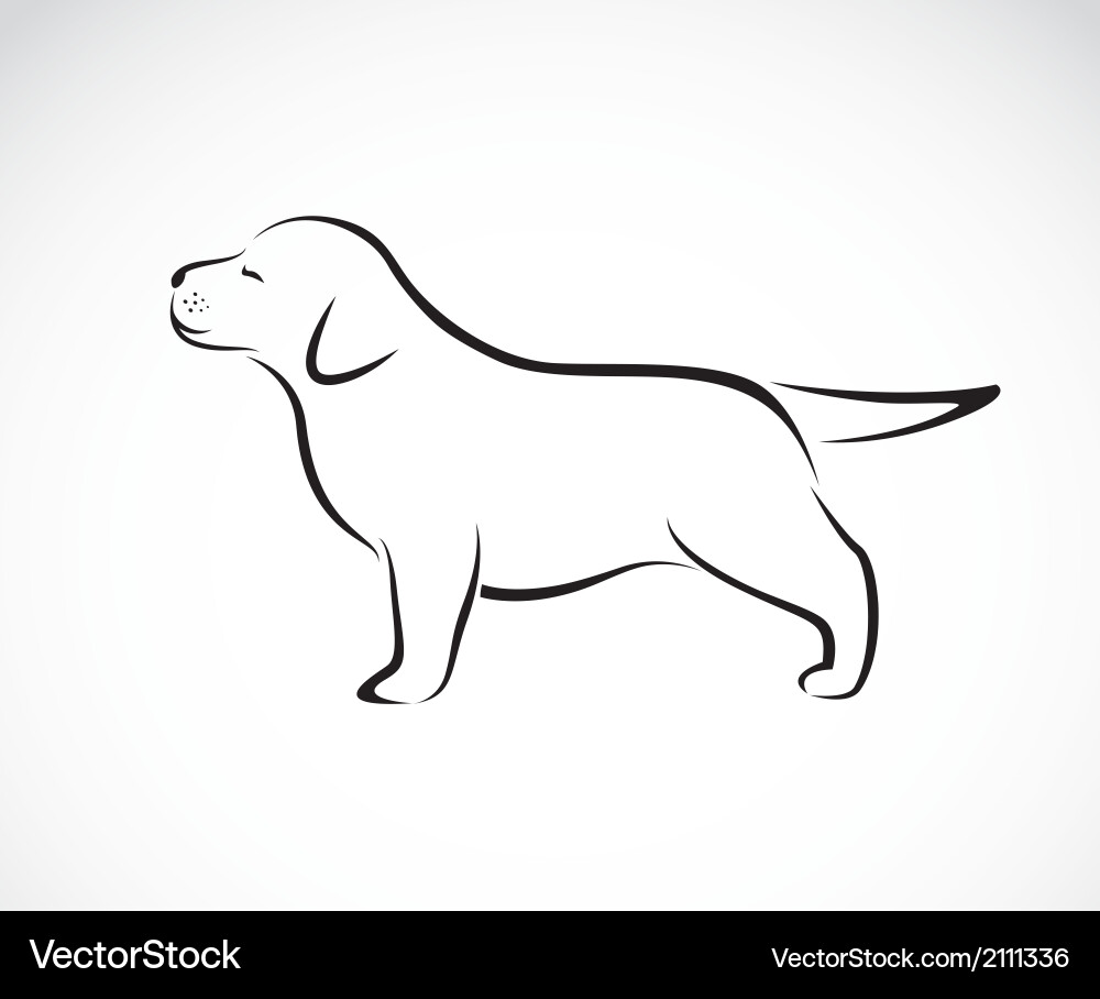 Adorable Labrador Puppies Royalty Free Vector Image
