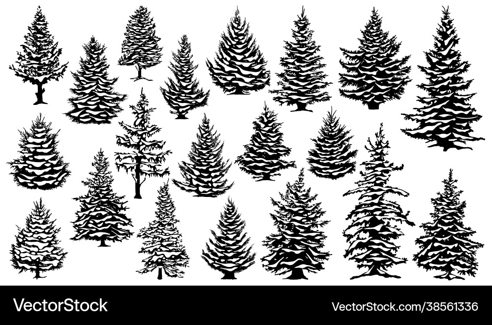 Christmas snowy pine trees xmas snow covered Vector Image
