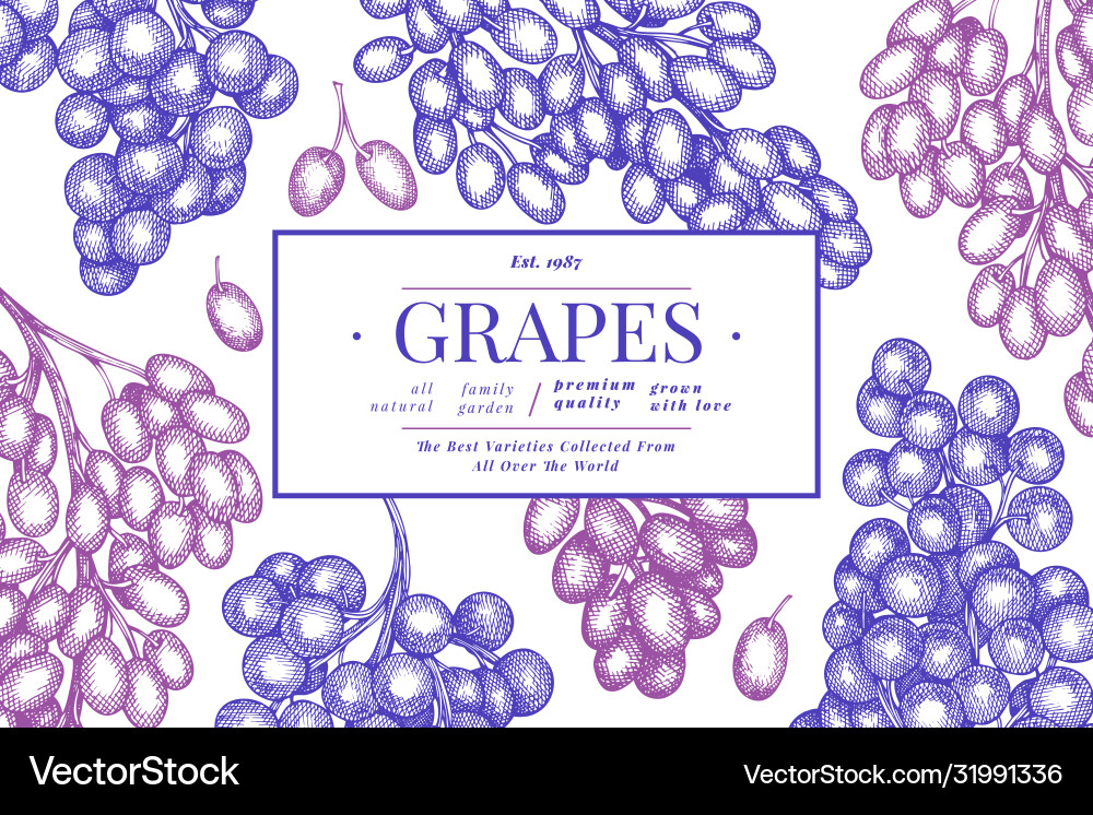 Grape design template hand drawn berry Royalty Free Vector